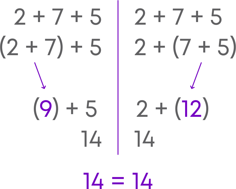 Whole Numbers Blog