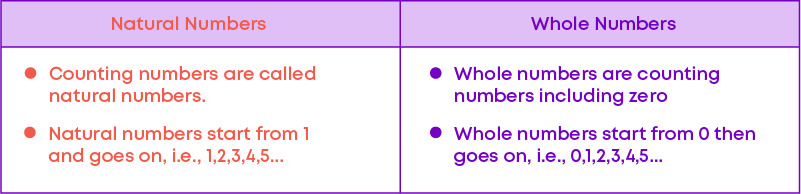 Whole Numbers | Blog