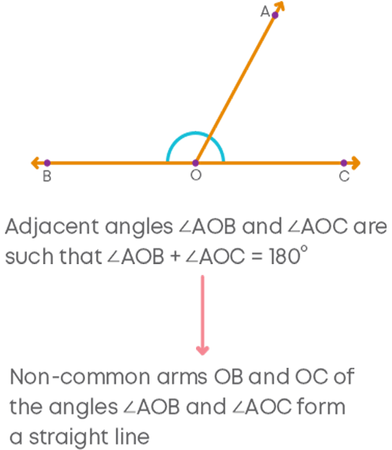 Introduction to Euclid's Geometry class 9 | Blog